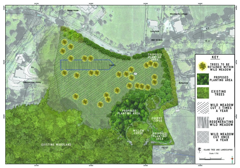 Glentramman Meadow Planting – Anna Wilson Design